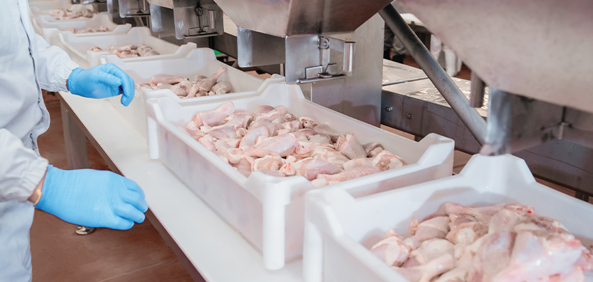 Pumps for Poultry Industry